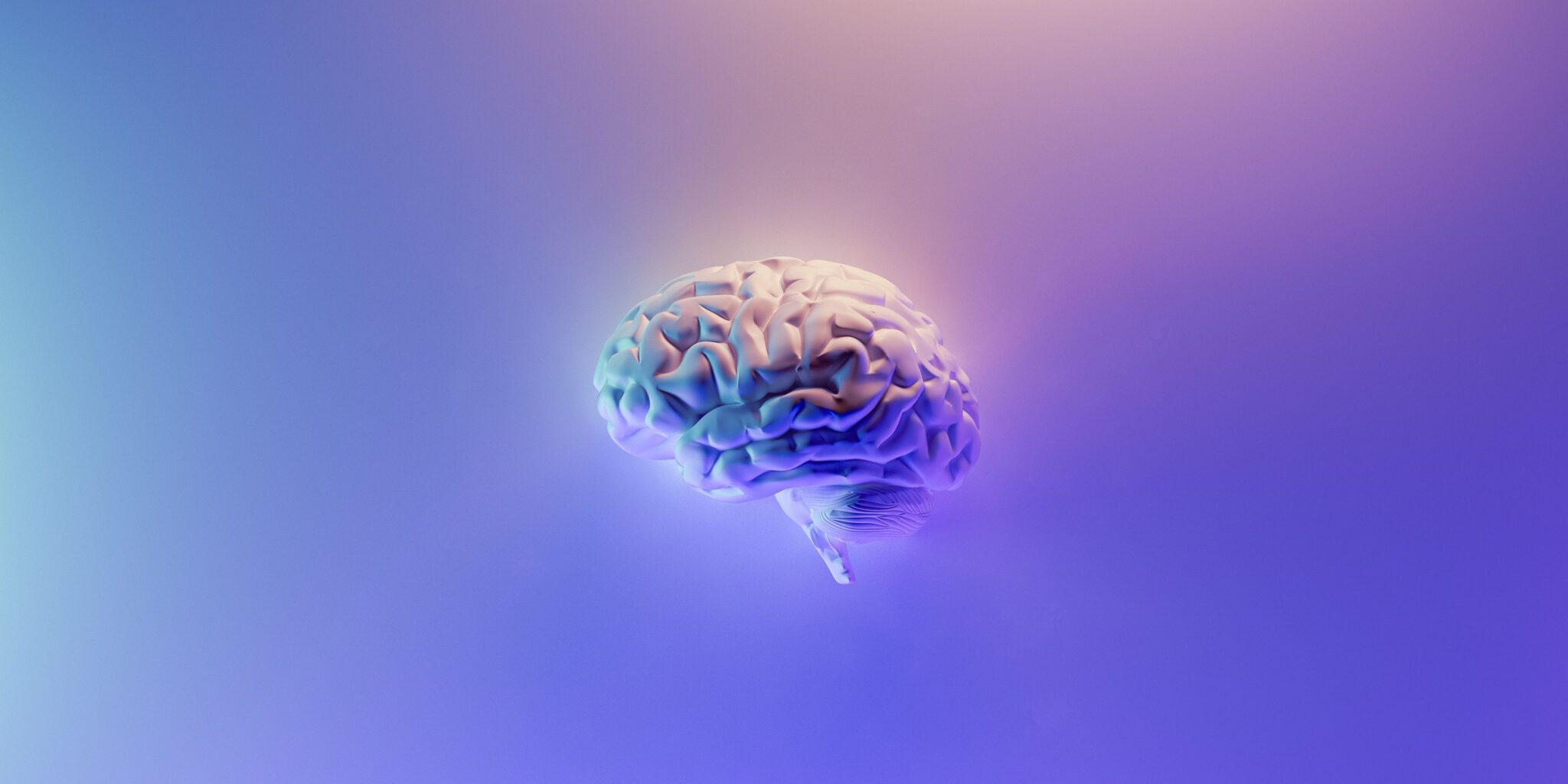 It’s National Train Your Brain Day - John Templeton Foundation It’s National Train Your Brain Day - John Templeton Foundation