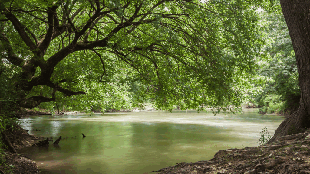 Moral Thought Experiments and the Shallow Pond - John Templeton Foundation